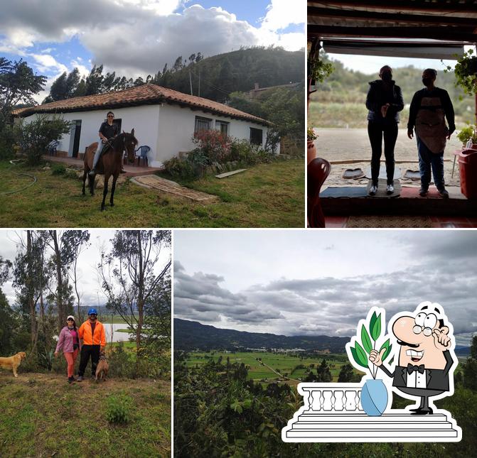 El Torito Manso restaurant, Colombia - Restaurant reviews