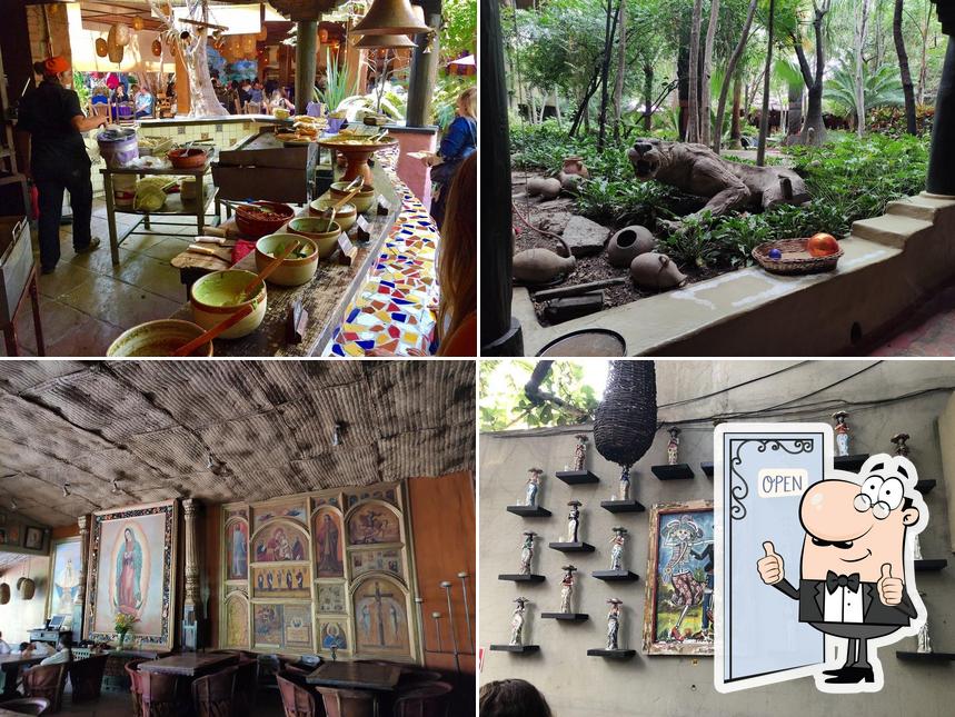 Santo Coyote, Guadalajara - Restaurant menu, prices and reviews