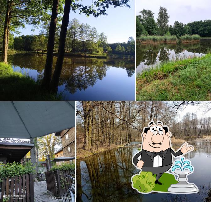 OSADA DWA MŁYNY - Restaurant menu, prices and reviews