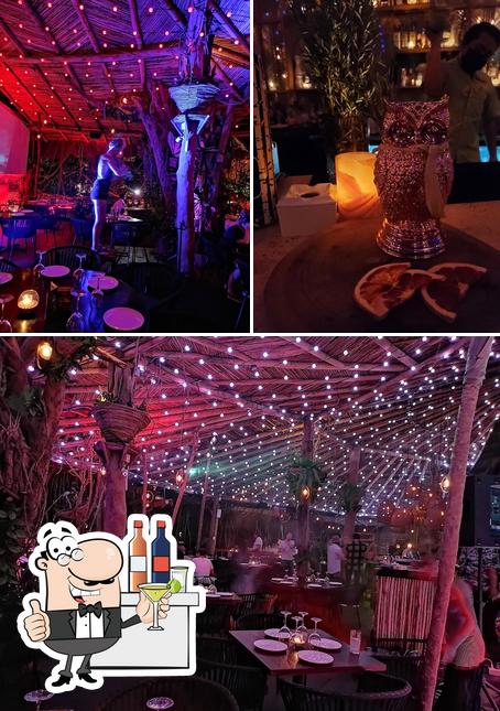 Restaurante Karma, Mexico, Carr. Tulum-Boca Paila km 7.5 mza 020 reg ...