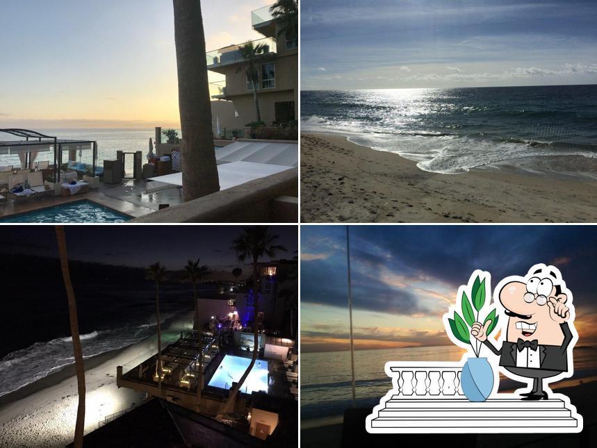 Splashes Restaurant, Laguna Beach - Restaurant menu, prices and reviews