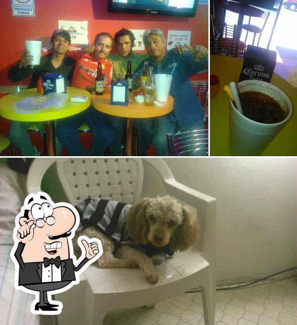 Pub y bar Miches Y Cheves, San Luis Potosi - Opiniones del restaurante