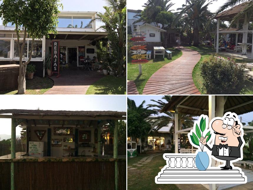 WET Cafe in Tarifa - Restaurant reviews