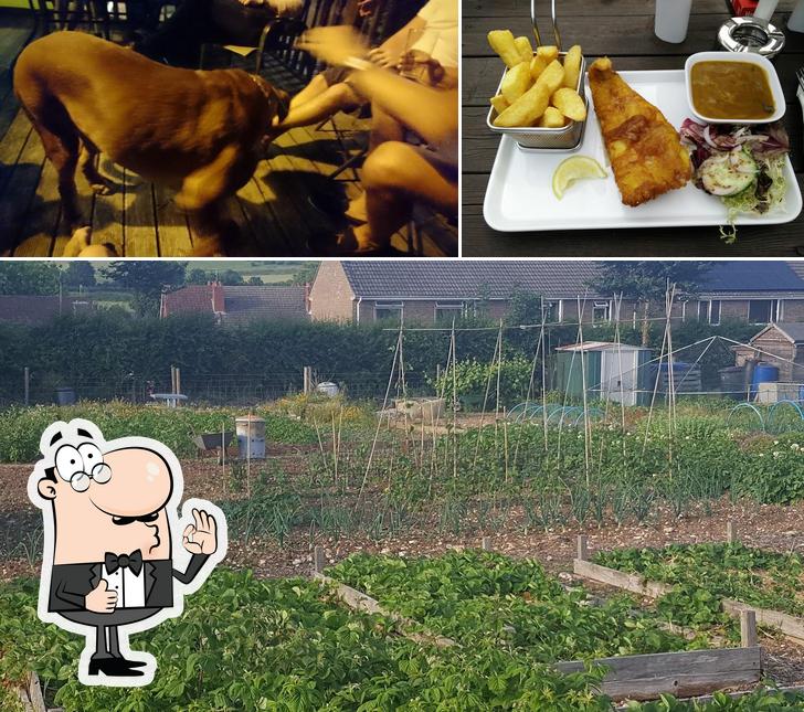 The Boot Inn in Tidworth - Restaurant menu and reviews