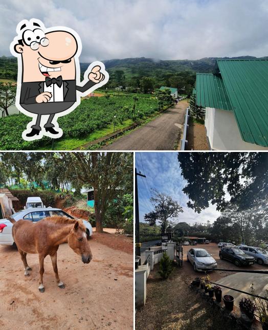 Anoki Restaurant and Resorts, Vagamon - Restaurant menu, prices and reviews