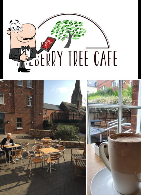 Mulberry Tree Cafe in Exeter - Restaurant reviews