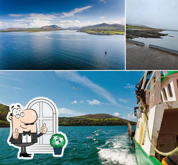 Kerry Fish, Renard in Ireland - Restaurant reviews