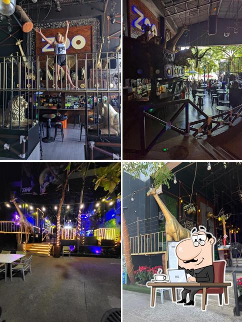 Zoo Bar, Puerto Vallarta - Restaurant menu, prices and reviews