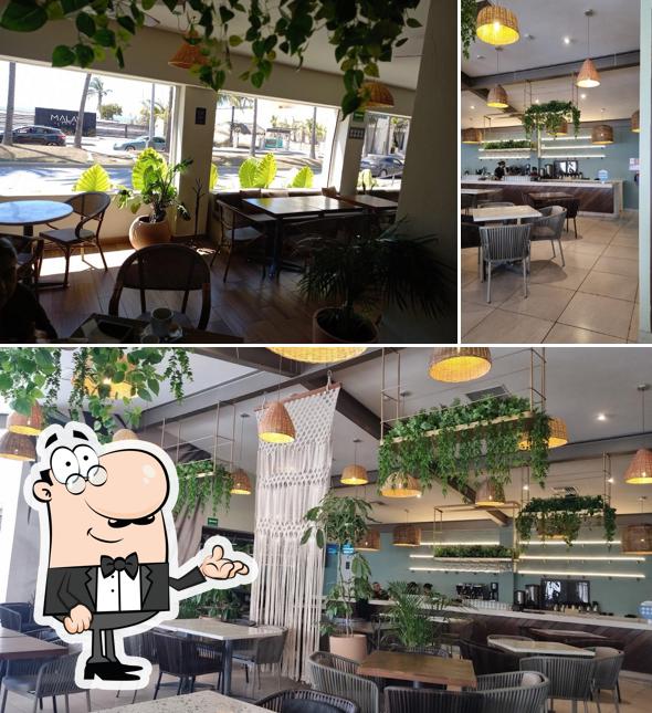 Restaurante Mané, Mazatlán - Restaurant reviews