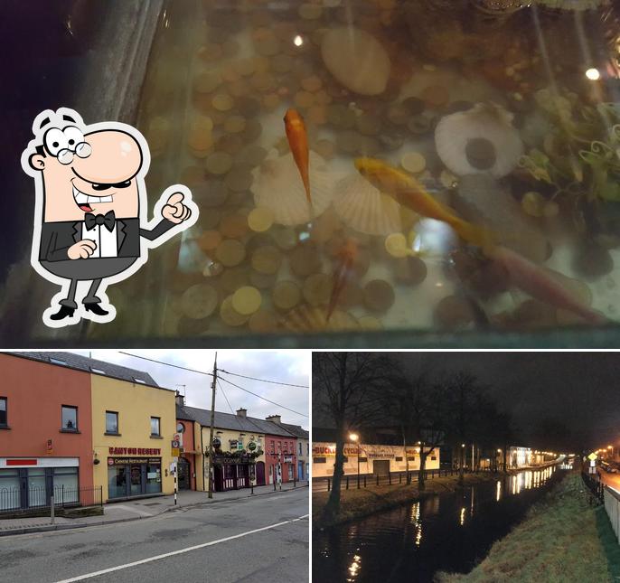 Canton Regent, Tullamore - Restaurant menu, prices and reviews