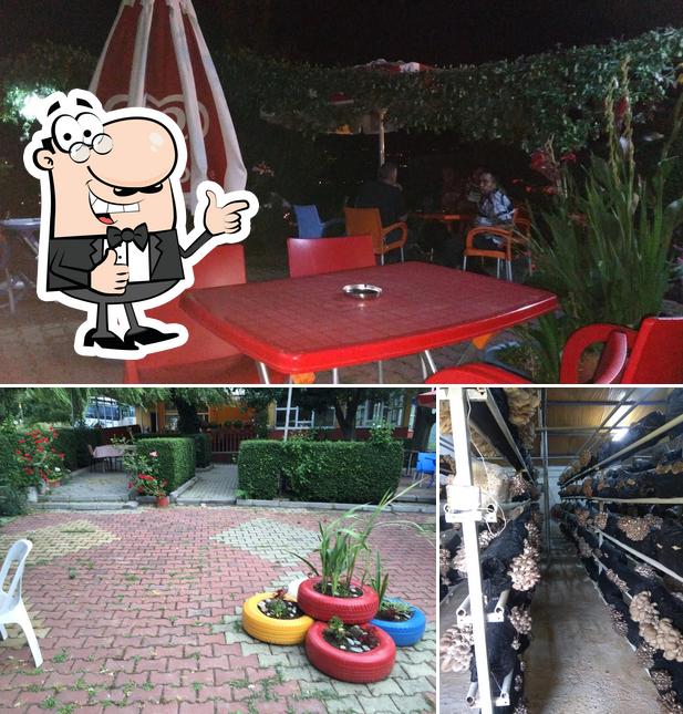 Koca meşe çay bahçesi, Turkey - Restaurant reviews