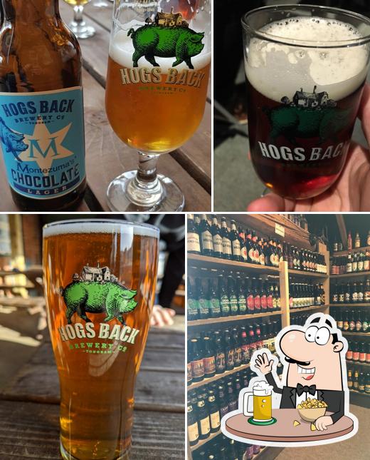 Hogs Back Brewery Tap Room in Tongham - Restaurant reviews