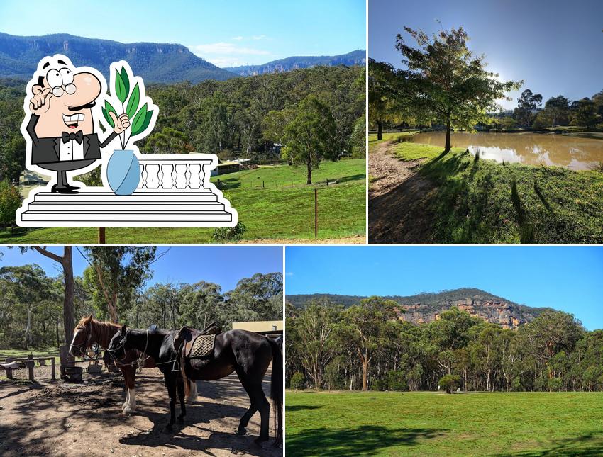 Top 5 places to eat in Megalong Valley, july 2025 - Restaurant Guru