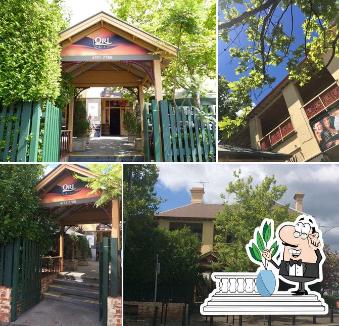 Ori Cafe in Springwood - Restaurant menu and reviews