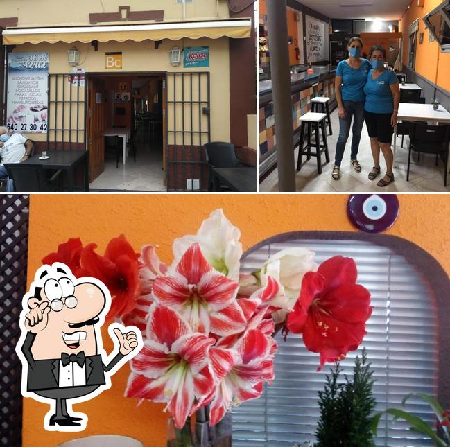 Los 5 mejores restaurantes en Punta del Hidalgo, agosto 2025 ...