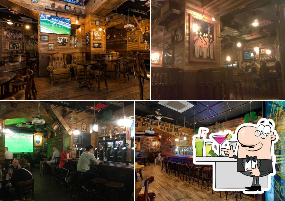 WILD ROVER in Barcelona - Restaurant menu and reviews