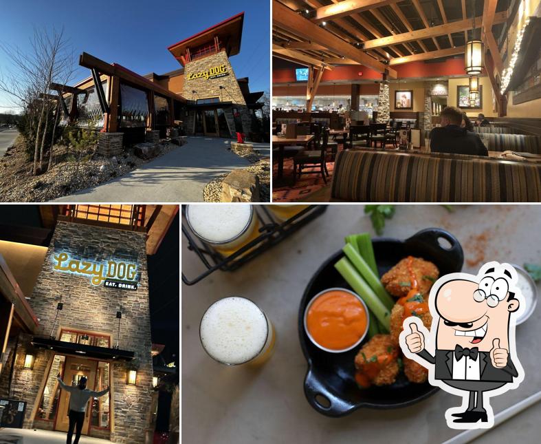 Lazy Dog Restaurant & Bar, Dunwoody - Restaurant menu, prices and reviews