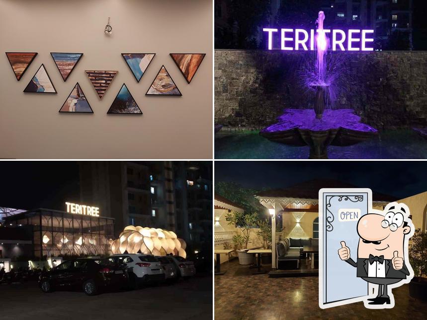 TERITREE Restaurant, Pune - Restaurant menu, prices and reviews