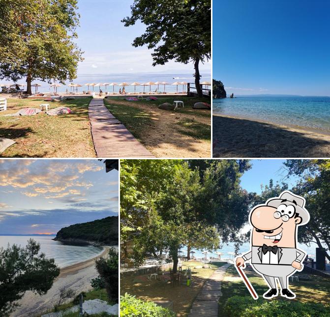 Rodia Beach Bar, Sithonia - Restaurant reviews