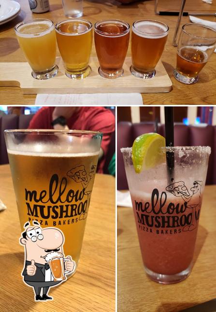 Mellow Mushroom Roanoke in Roanoke - Restaurant menu and reviews
