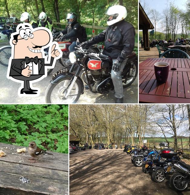 Fimber Cafe (Log Cabin) - Restaurant menu, prices and reviews