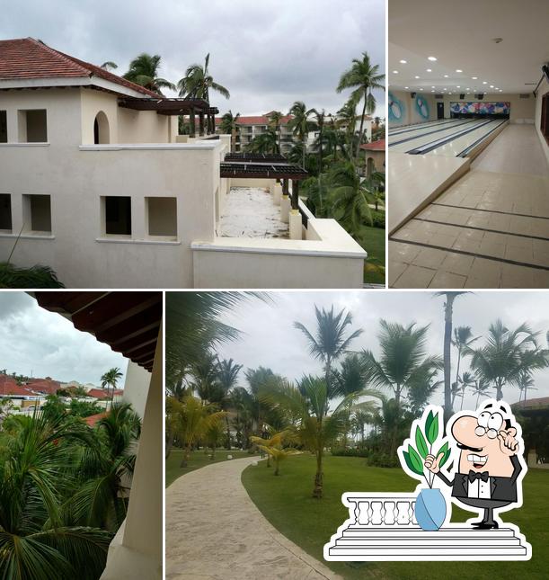 Secrets, Now Larimar restaurant, Punta Cana - Restaurant reviews