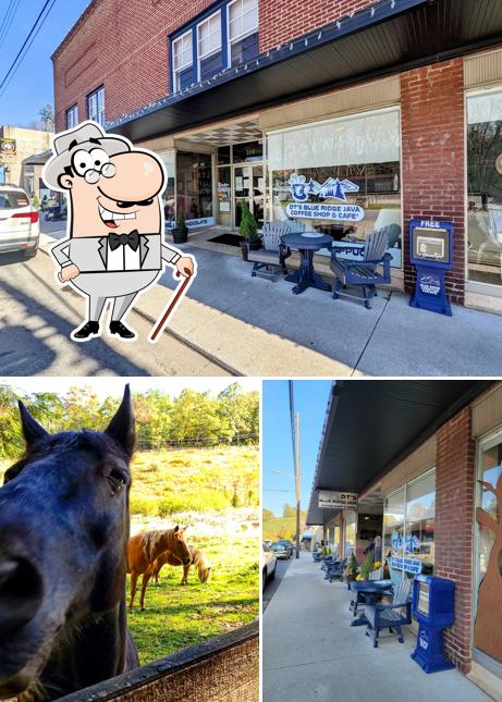 DT's Blue Ridge Java, Spruce Pine - Restaurant menu, prices and reviews