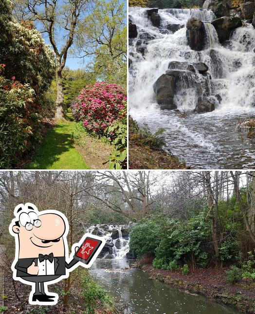 Virginia Water Lake Pavilion, Virginia Water - Restaurant menu, prices ...