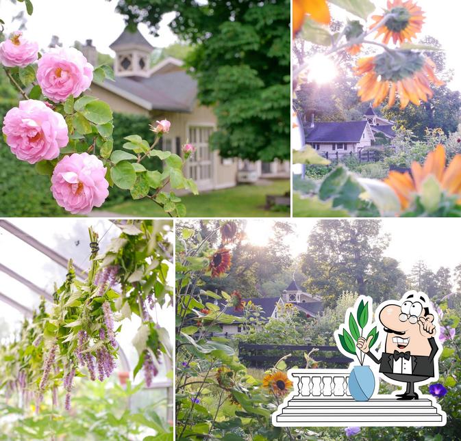 Stonegate Farm, Newburgh - Restaurant menu, prices and reviews