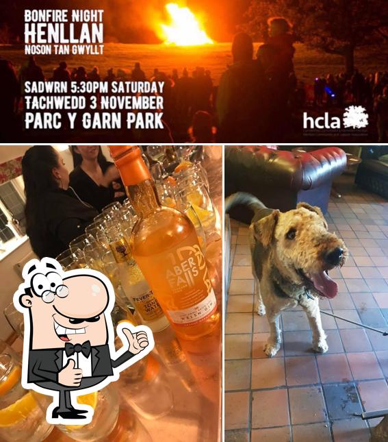The Llindir Inn, Henllan - Restaurant menu, prices and reviews