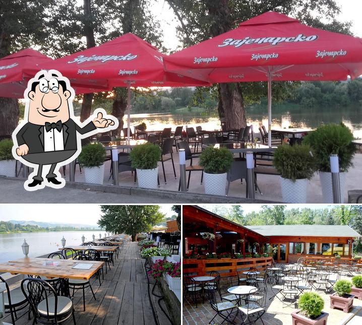 Etno Kafana Jedro restaurant, Veliko Gradište - Restaurant reviews