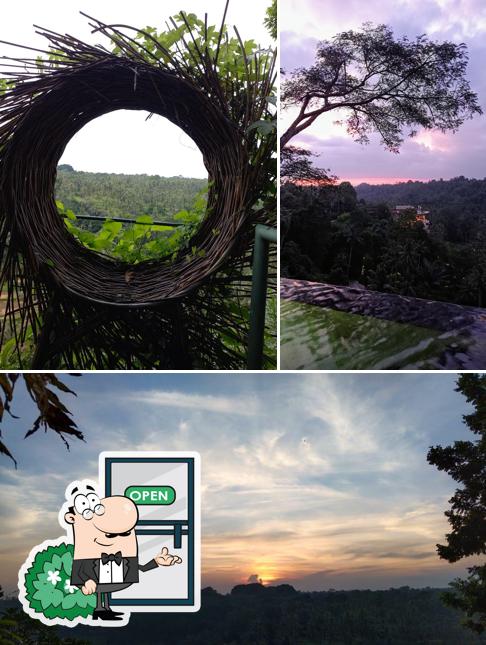Sayan Point, Ubud - Restaurant menu, prices and reviews