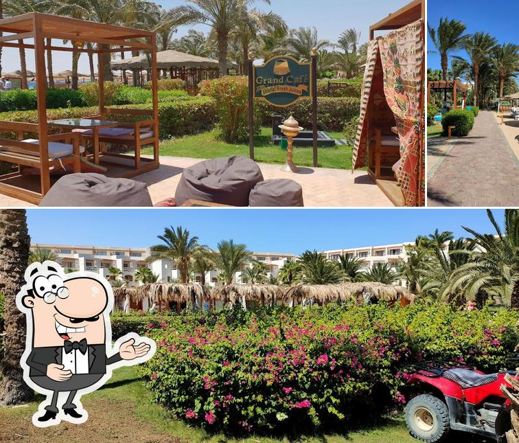 Grand Café Shisha, Hurghada - Critiques de restaurant