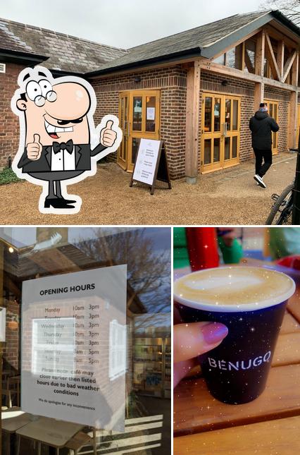 Primrose Hill Café in London - Restaurant reviews