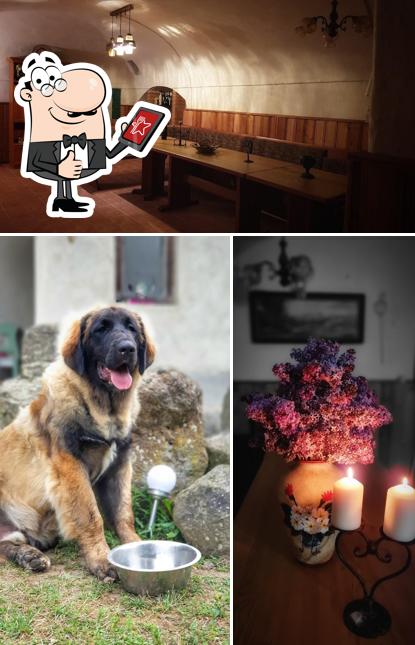 All places to eat and drink in Hejce, winter 2024 - Restaurant Guru