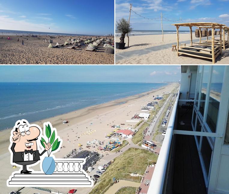 Ubuntu Strandbar, Zandvoort - Restaurant menu, prices and reviews