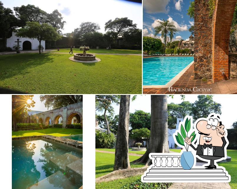 HACIENDA COCOYOC HOTEL, Cocoyoc - Menú del restaurante, precios y reseñas