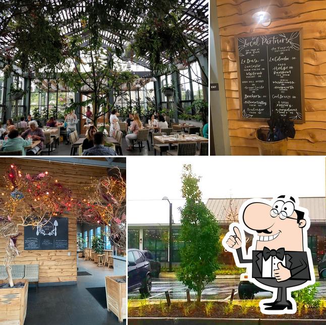 Terrain Cafe in Devon - Restaurant menu and reviews