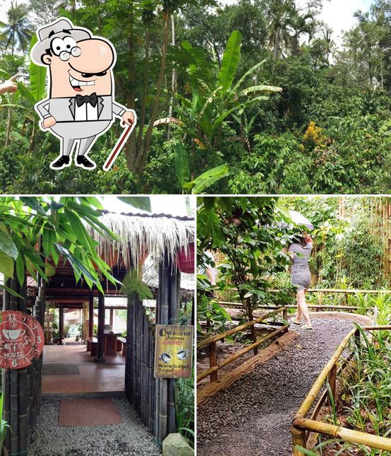 Segara Windhu Coffee Plantation restaurant, Indonesia - Restaurant reviews
