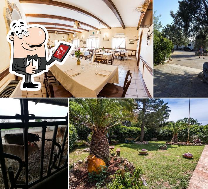 Agriturismo Parco Leone - Menú del restaurante, precios y reseñas
