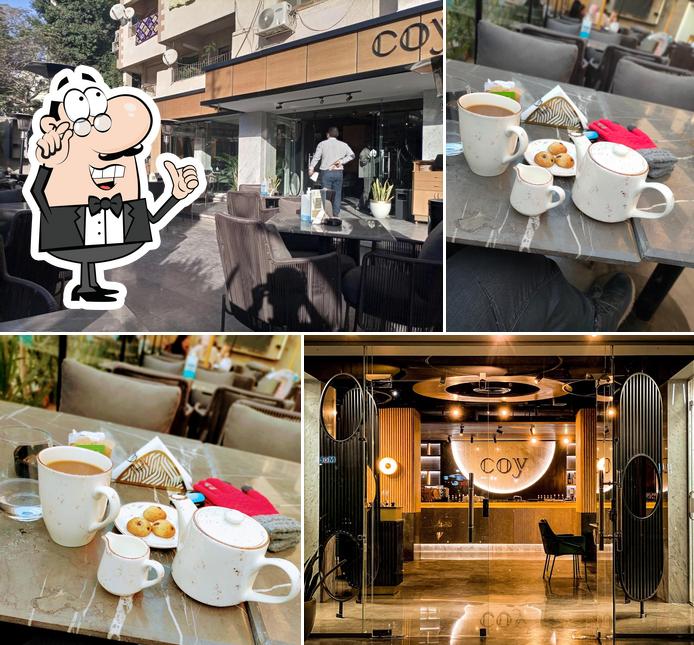 Coy Restaurant, Cairo - Restaurant reviews