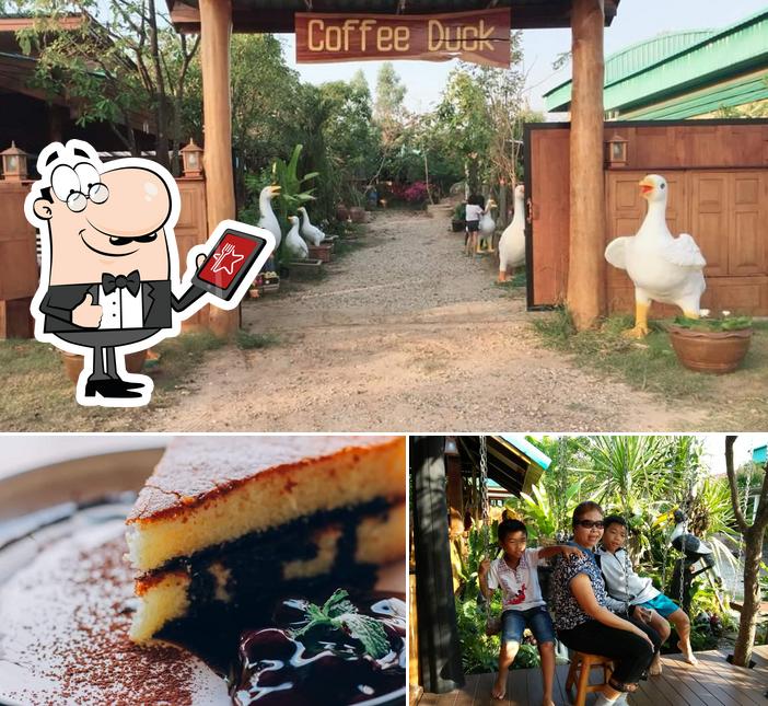 Coffee Duck cafe, Phitsanulok - Restaurant reviews