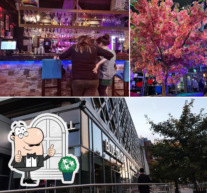 Blue Sakura Leeds in Leeds - Restaurant reviews