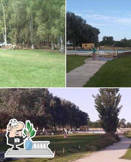 Balneario Comunitario Morea pub & bar, Morea - Restaurant reviews