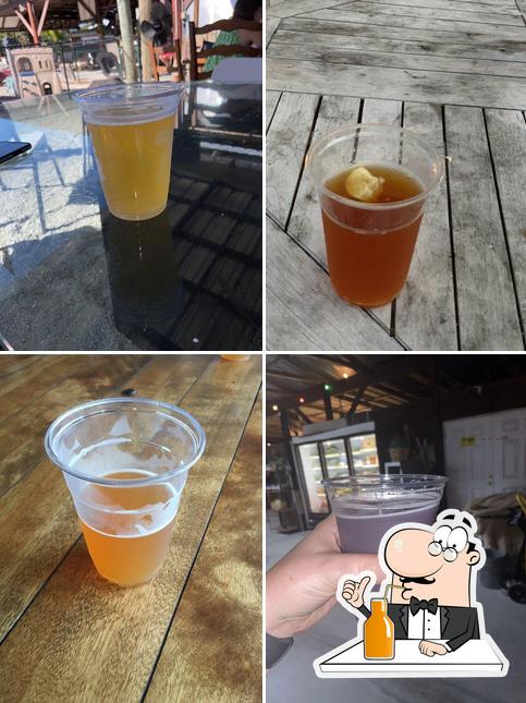 Crazy Dingo Brewing, Fort Myers - Restaurant menu, prices and reviews