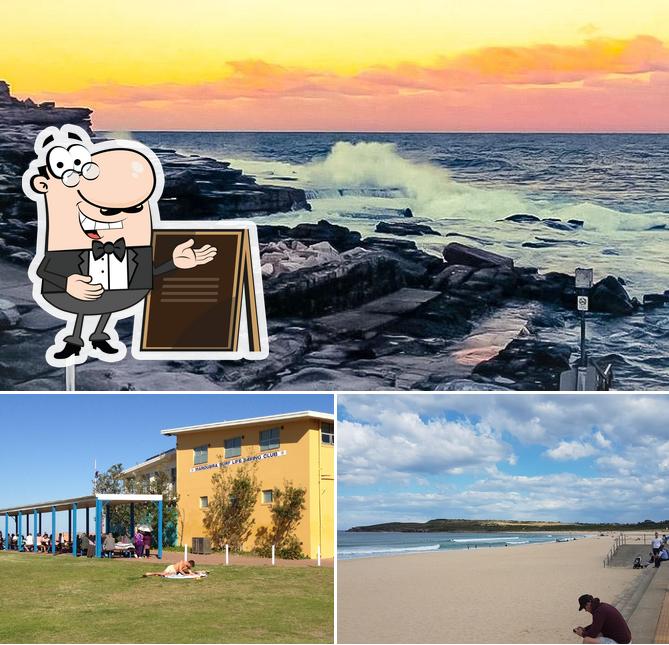 Maroubra Seals in Maroubra - Restaurant reviews