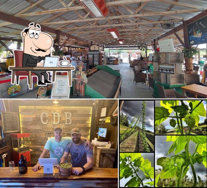 Crazy Dingo Brewing, Fort Myers - Restaurant menu, prices and reviews