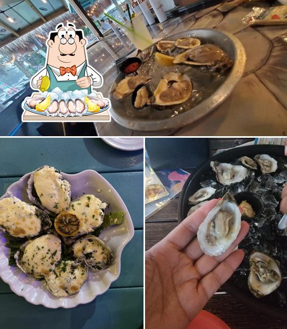 Fatty's Fish Shack, Palm Harbor - Restaurant menu, prices and reviews