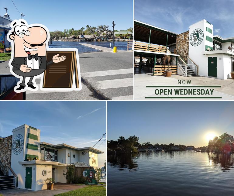 Top 5 restaurants in Homosassa Springs, november 2024 - Restaurant Guru