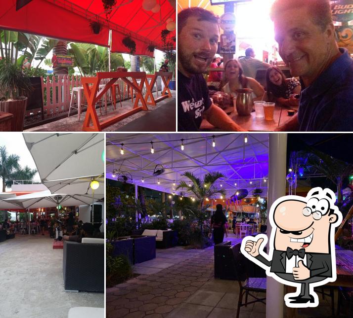 Taco Beach Shack in Hollywood - Restaurant menu and reviews